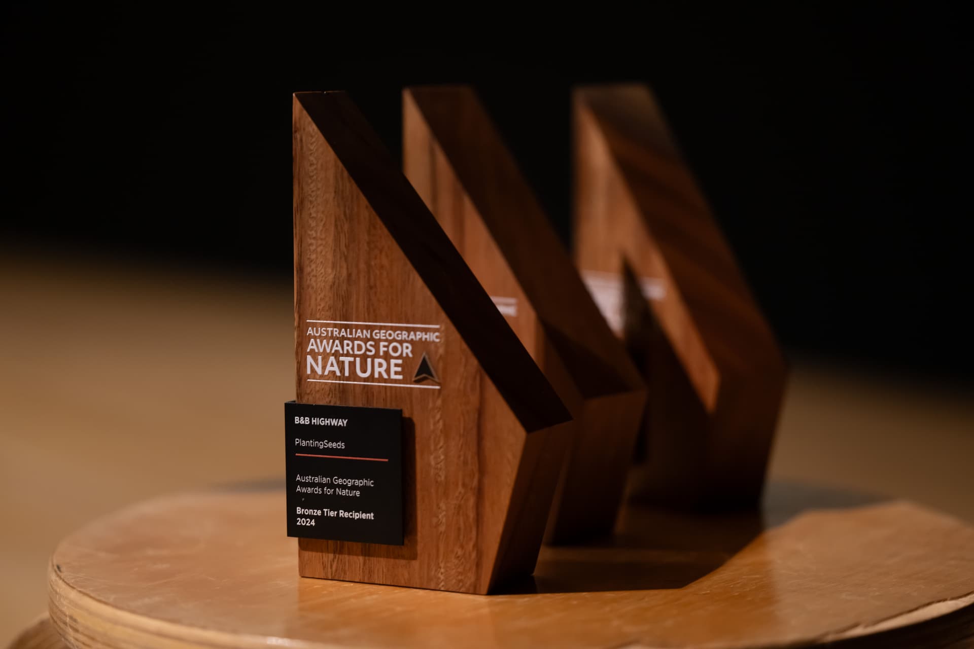 The enigma of the night parrot | Australian Geographic Society